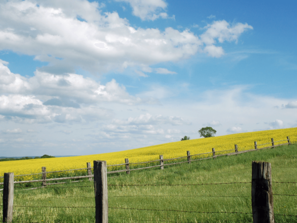 Agronomy Services - Agronomy Consulting | FarmCo