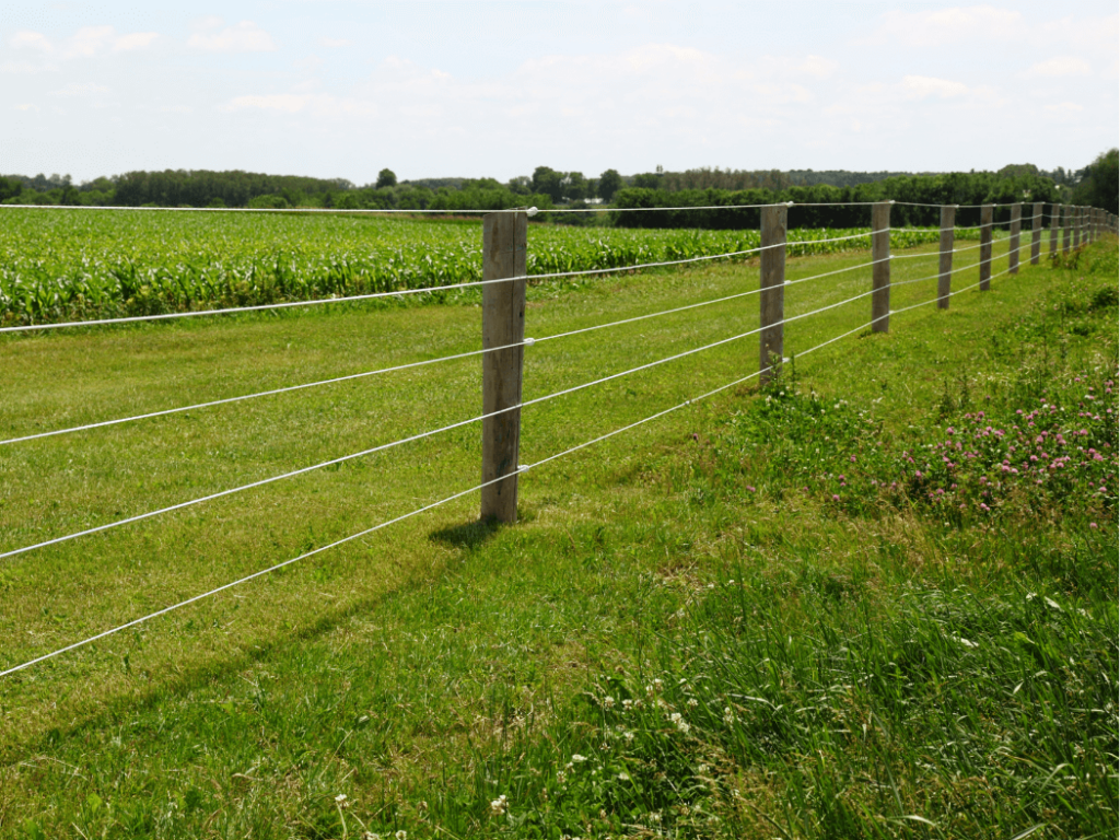 Rural Fencing Supplies Perth and Australia-Wide | FarmCo