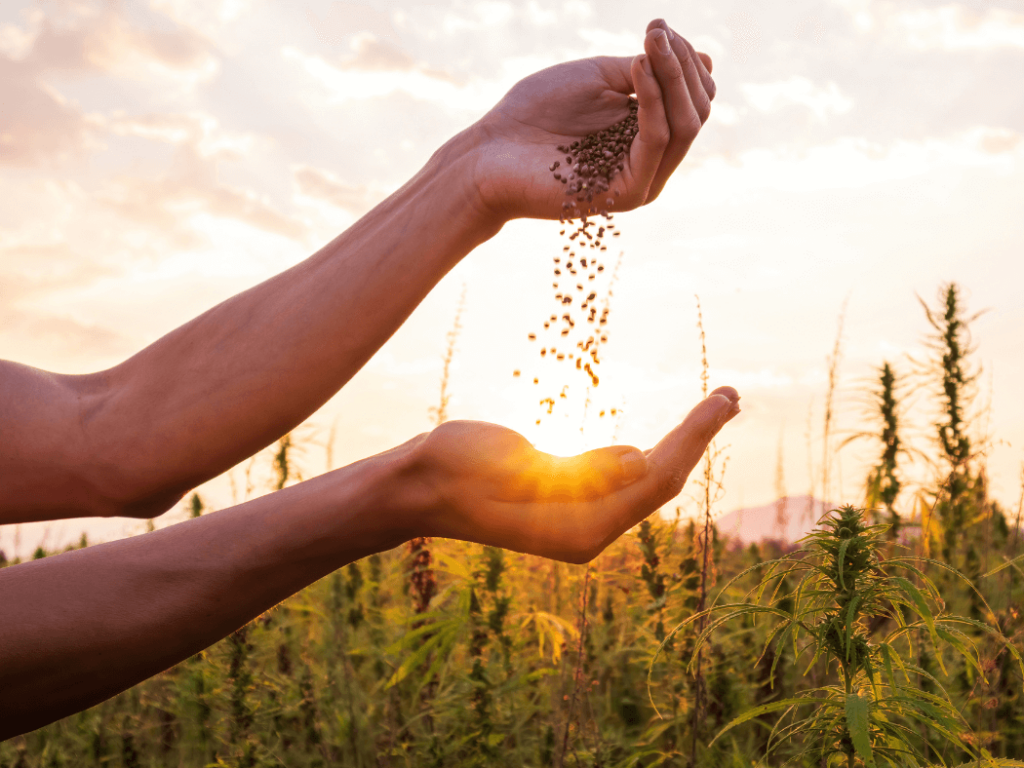 Crop Management - Agricultural Chemicals | FarmCo