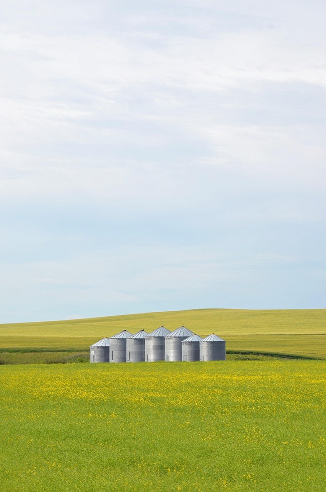 Grain Storage: How to Protect Stored Grain - FarmCo